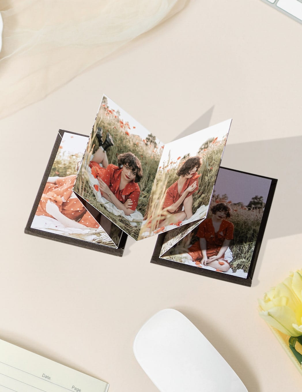 Accordion Mini Books | Giclée Printed Brag Book | Zno™