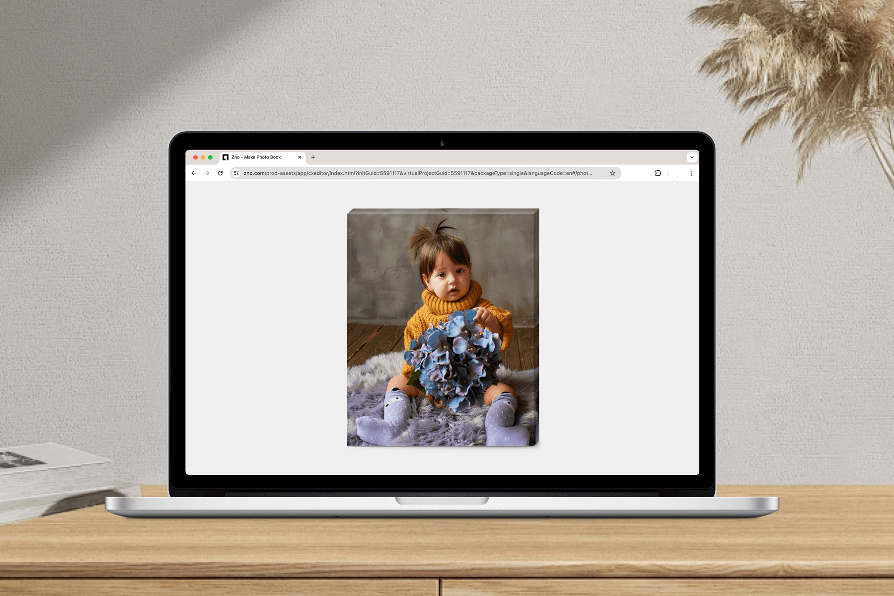 Canvas Gallery Wrap | Fine Art Giclée Pro Lab Printed | Zno™